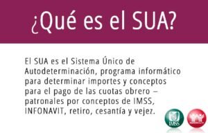 ¿Qué es, para qué sirve y como descargar el SUA? | DC